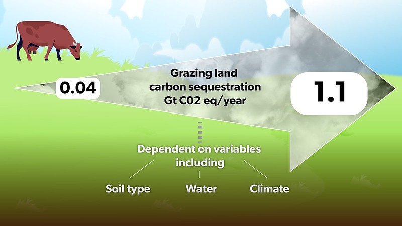 How much carbon can Kenyan grasslands store in their soils? Insights from the CarboGrass Project